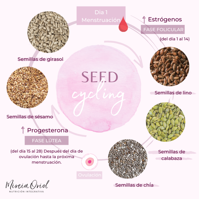 Seed cycling o consumo cíclico de semillas - Mireia Oriol