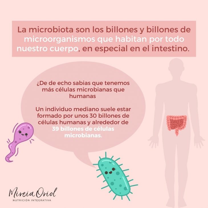 ¿Que es la microbiota intestinal y por qué es tan importante para la ...